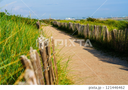 Natural walking path with green grass and...の写真素材 [121446462] - PIXTA