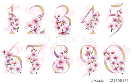 Watercolor and golden numbers with pink cherry...のイラスト素材 [121700175 ...