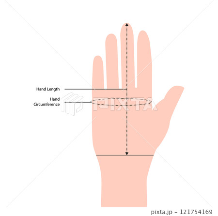 Diagram of measuring hands for Gloves, mittens,...のイラスト素材 [121754169 ...