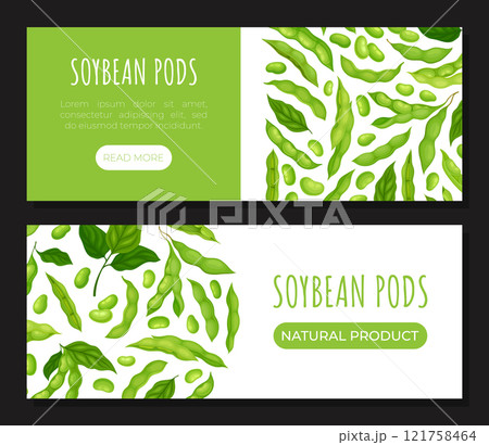 Green Soybean Pod Natural Organic Crop Banner...のイラスト素材 [121758464] - PIXTA