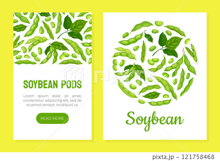 Green Soybean Pod Natural Organic Crop Banner...のイラスト素材 [121758468] - PIXTA