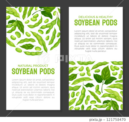 Green Soybean Pod Natural Organic Crop Banner...のイラスト素材 [121758470] - PIXTA