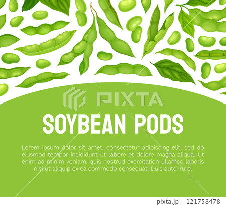 Green Soybean Pod Natural Organic Crop Banner...のイラスト素材 [121758478] - PIXTA