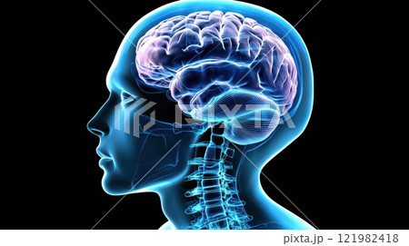 Visual representation of human brain and anatomyのイラスト素材 [121982418] - PIXTA