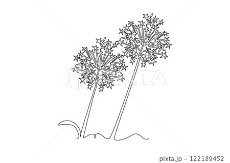 Continuous one line drawing beauty fresh allium...のイラスト素材 [122189452 ...