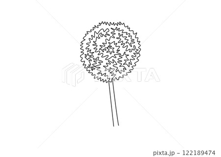 Continuous one line drawing beauty fresh allium...のイラスト素材 [122189474 ...