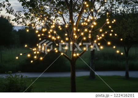 Decorative illuminated tree with warm light...のイラスト素材 [122416201] - PIXTA