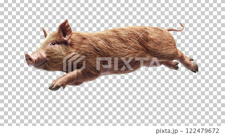 Fat pig jumps in side view on transparent...のイラスト素材 [122479672] - PIXTA