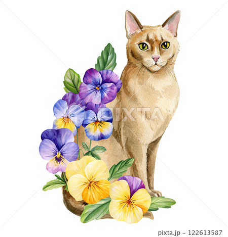 Abyssinian cat with violet flowers watercolor...のイラスト素材 [122613587] - PIXTA