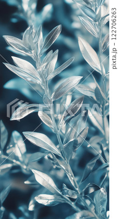 Ethereal silver foliage with soft light and...のイラスト素材 [122706263] - PIXTA