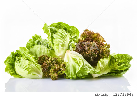 レタスのイメージ素材のイラスト素材 [122715945] - PIXTA