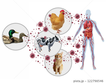 Bird Flu In Humansのイラスト素材 [122798546] - PIXTA