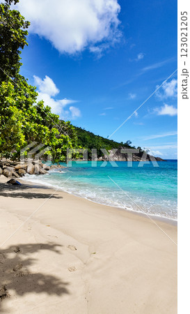 Shady sandy beach with clear turquoise water...の写真素材 [123021205] - PIXTA