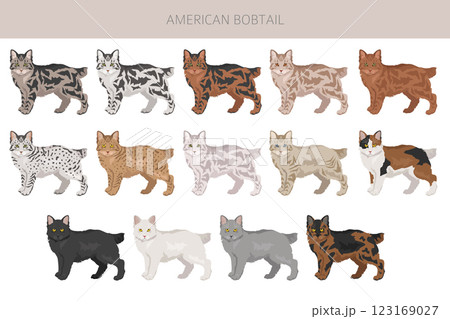 American Bobtail cat clipart. All coat colors...のイラスト素材 [123169027] - PIXTA