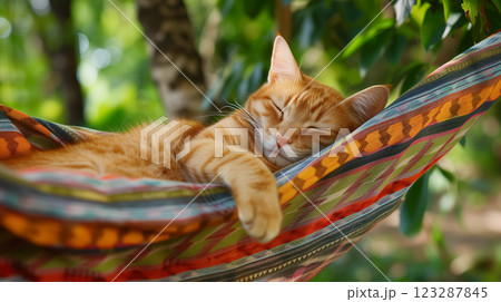 Relaxed ginger cat sleeping in a colorful hammock.のイラスト素材 [123287845 ...