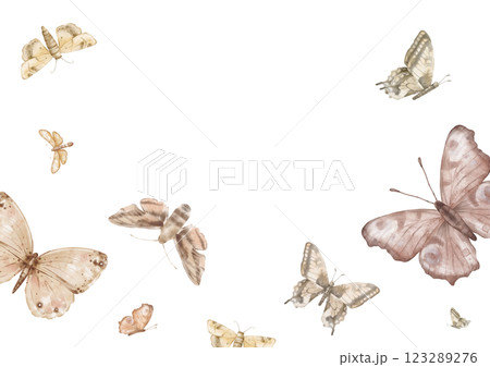 Rectangular frame with Butterflies Monarch and...のイラスト素材 [123289276 ...