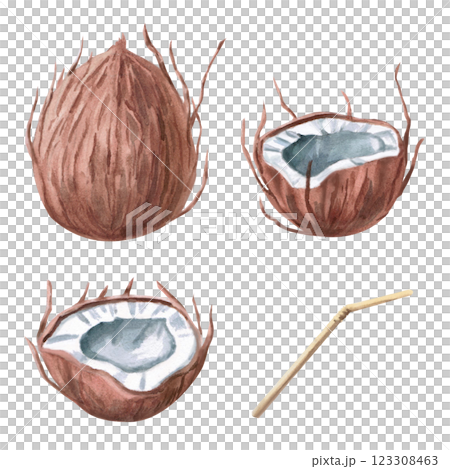 Set of a whole coconut, two halves and a straw....-插圖素材 [123308463 ...