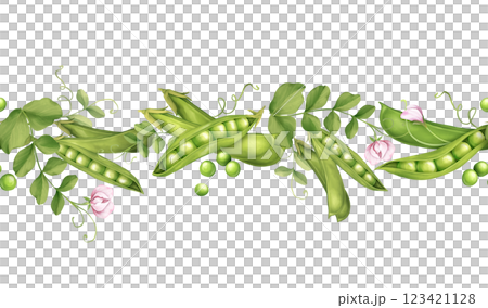 Green peas seamless border with pods and...のイラスト素材 [123421128] - PIXTA