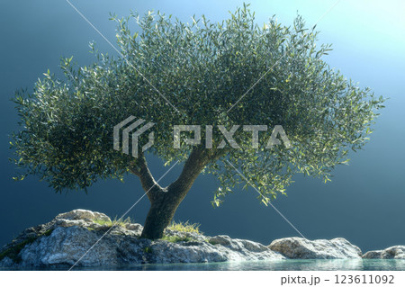 Lone Olive Tree on Rocky Shorelineのイラスト素材 [123611092] - PIXTA