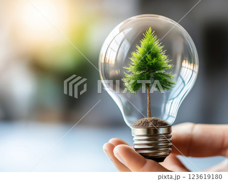 Light bulb with a tiny green tree inside...のイラスト素材 [123619180] - PIXTA