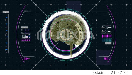 Image of human brain, scope and data processingのイラスト素材 [123647103] - PIXTA