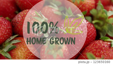 Image of 100 percent home grown text over...のイラスト素材 [123650160] - PIXTA