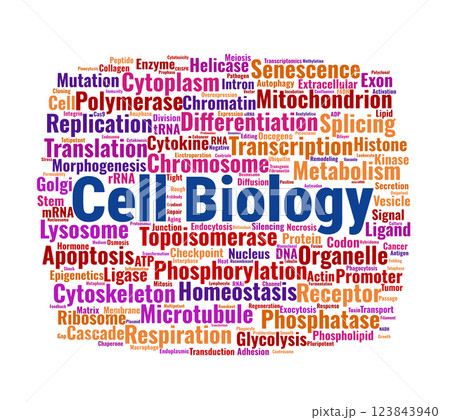 Cell Biology Word Cloud. Key Terms for...のイラスト素材 [123843940] - PIXTA