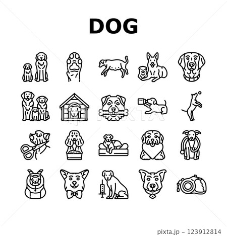 dog breeding genetics pedigree icons set vectorのイラスト素材 [123912814] - PIXTA