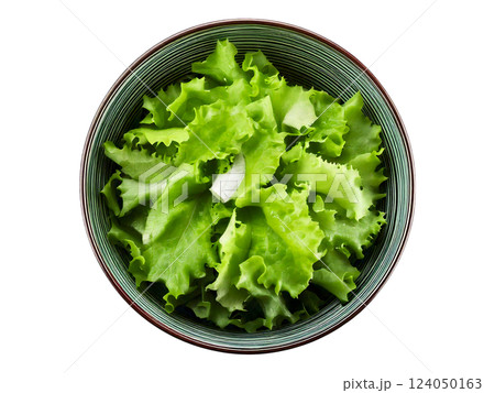 Overhead shot of fresh green lettuce in a...のイラスト素材 [124050163] - PIXTA