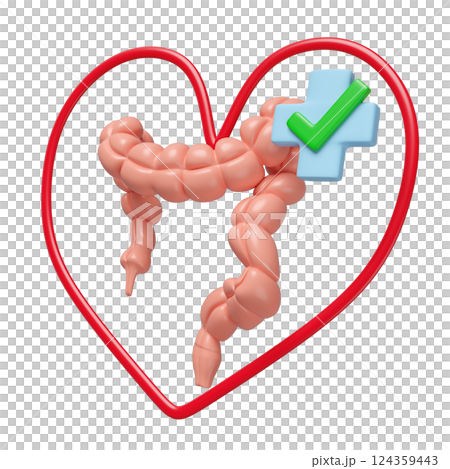 3d realistic human colon with heart, cross,...-插圖素材 [124359443] - PIXTA圖庫