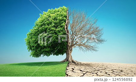 Half of the tree is alive and green and the...のイラスト素材 [124556892] - PIXTA