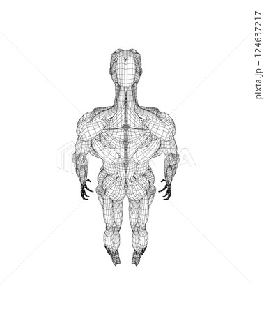 Human body anatomy male man wireframe ,...のイラスト素材 [124637217] - PIXTA