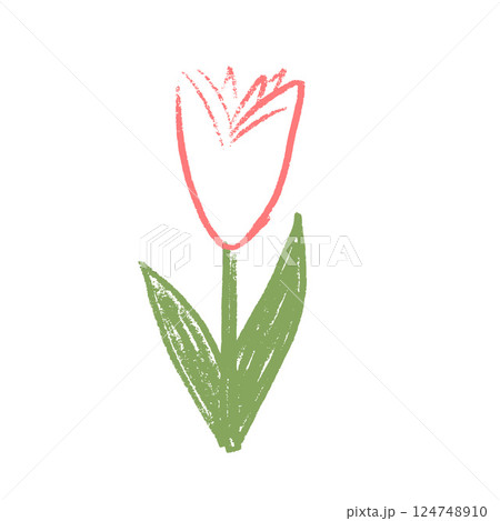 Tulip spring flower crayon drawn. Crocus plant...のイラスト素材 [124748910 ...