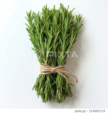 Fresh rosemary bundle on white background for...のイラスト素材 [124805133] - PIXTA