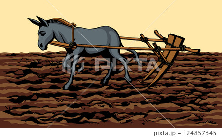 Vector drawing. Cute old muleのイラスト素材 [124857345] - PIXTA