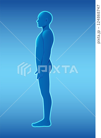 Human Body Side Profile Vector Illustrationのイラスト素材 [124868747] - PIXTA