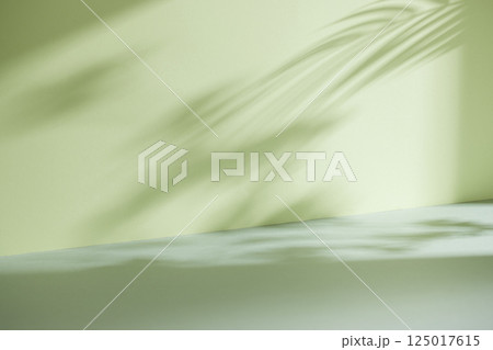 Morning Light and Natural Shadows in a Minimal...の写真素材 [125017615] - PIXTA