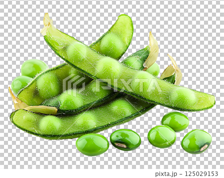 Fresh, vibrant green soybeans in their pods,...のイラスト素材 [125029153] - PIXTA