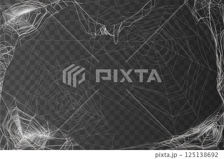 Cobweb on transparent background, hanging...のイラスト素材 [125138692] - PIXTA