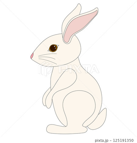 Cute White Rabbit Side View Illustrationのイラスト素材 [125191350] - PIXTA
