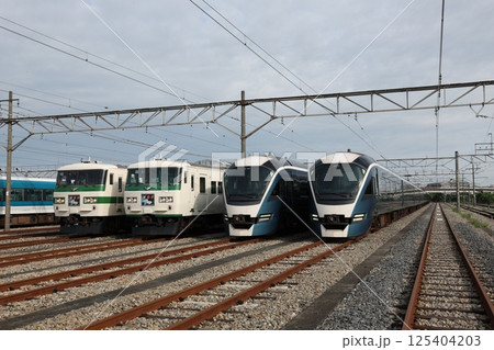 185系、E261系電車の写真素材 [125404203] - PIXTA