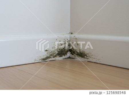 Black mold growing on baseboard in corner of roomのイラスト素材 [125698548 ...