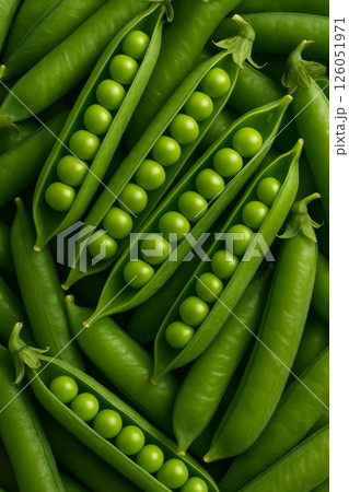 Fresh Green Peas in Open Pods Arranged Neatly...のイラスト素材 [126051971] - PIXTA