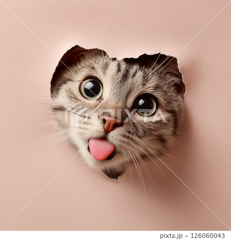 Playful kitten poking head through heart shaped...のイラスト素材 [126060043 ...
