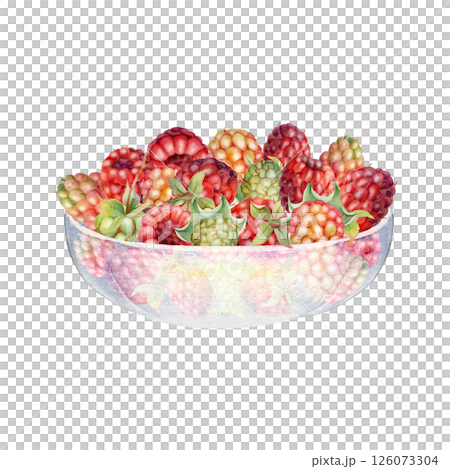 Raspberry served in glass bowl, ripe picked...のイラスト素材 [126073304] - PIXTA