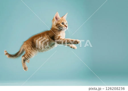 Active agile Cat jumping high in the air on a...のイラスト素材 [126208236] - PIXTA
