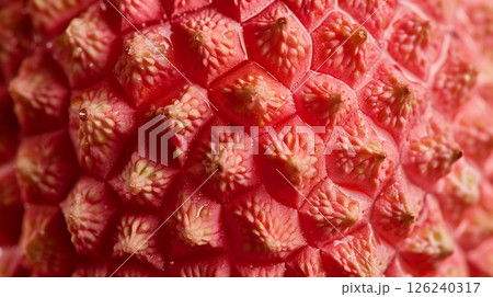 Lychee closeup extreme photo texture of natural...のイラスト素材 [126240317 ...