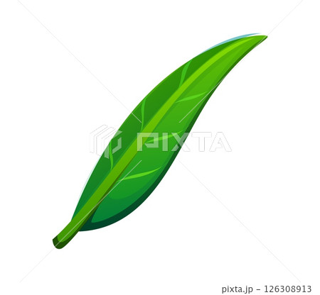Tree green leaf font punctuation slash. Clean...のイラスト素材 [126308913] - PIXTA