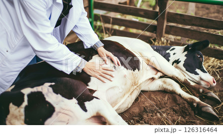 female veterinarian examining cow using...のイラスト素材 [126316464] - PIXTA