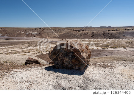 Petrified wood logs on desert ground in...の写真素材 [126344406] - PIXTA